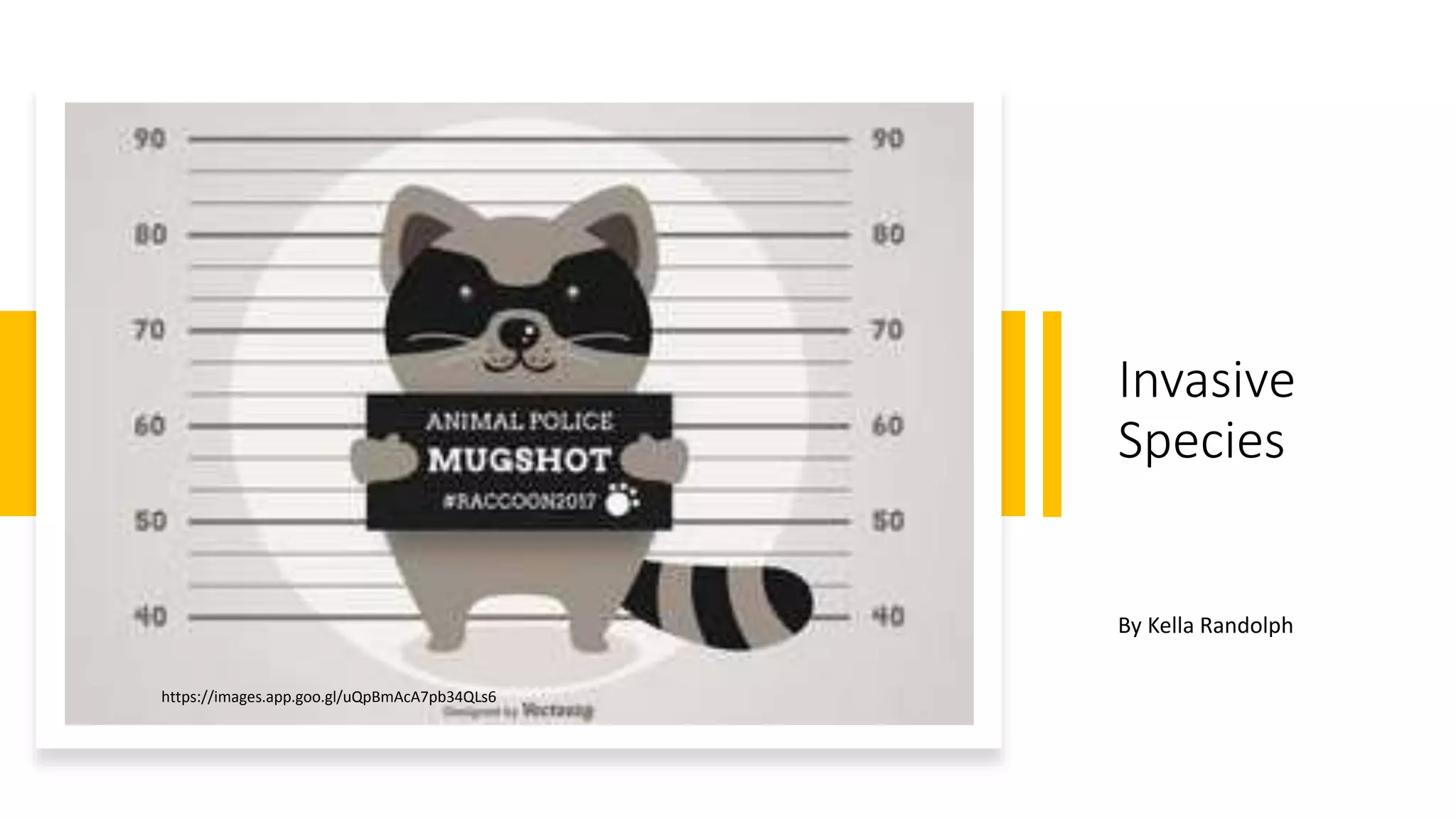 Invasive species | PPT