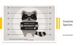 Invasive species | PPT