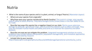 Invasive species | PPTX