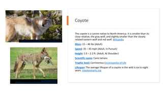 Invasive species | PPTX