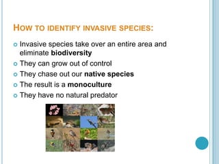 Invasive species powerpoint | PPTX