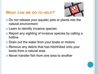 Invasive species powerpoint | PPTX