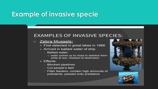 INVASIVE SPECIE'S .. Benefits or harm on native species | PPT