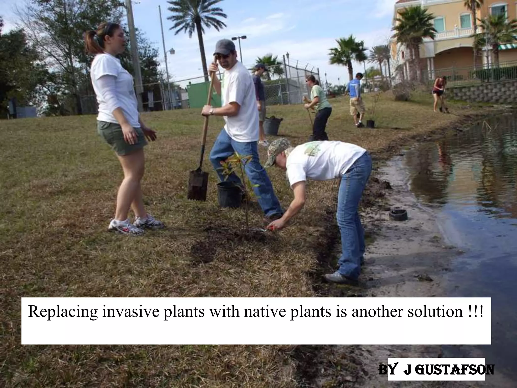 Invasive species presentation completed | PPTX