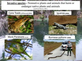 Invasive species presentation completed | PPT