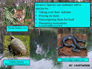 Invasive species presentation completed | PPTX