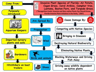 Invasive species presentation completed | PPTX