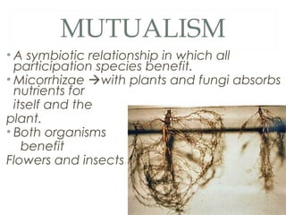 Invasive species & symbiosis | PPT