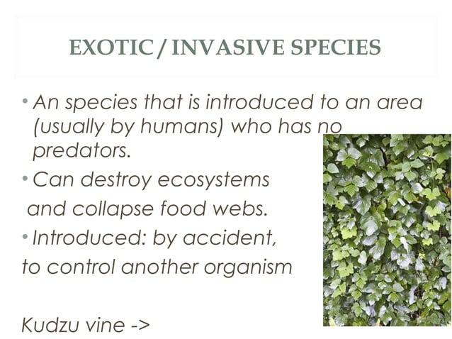 Invasive species & symbiosis | PPT
