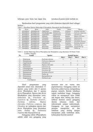 Inventarisasi divisi phaeophyta dan rhodophyta di pantai teluk lombok ...