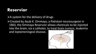 Inventions and discovery of Pakistan | PPTX | Brain and Nervous System ...