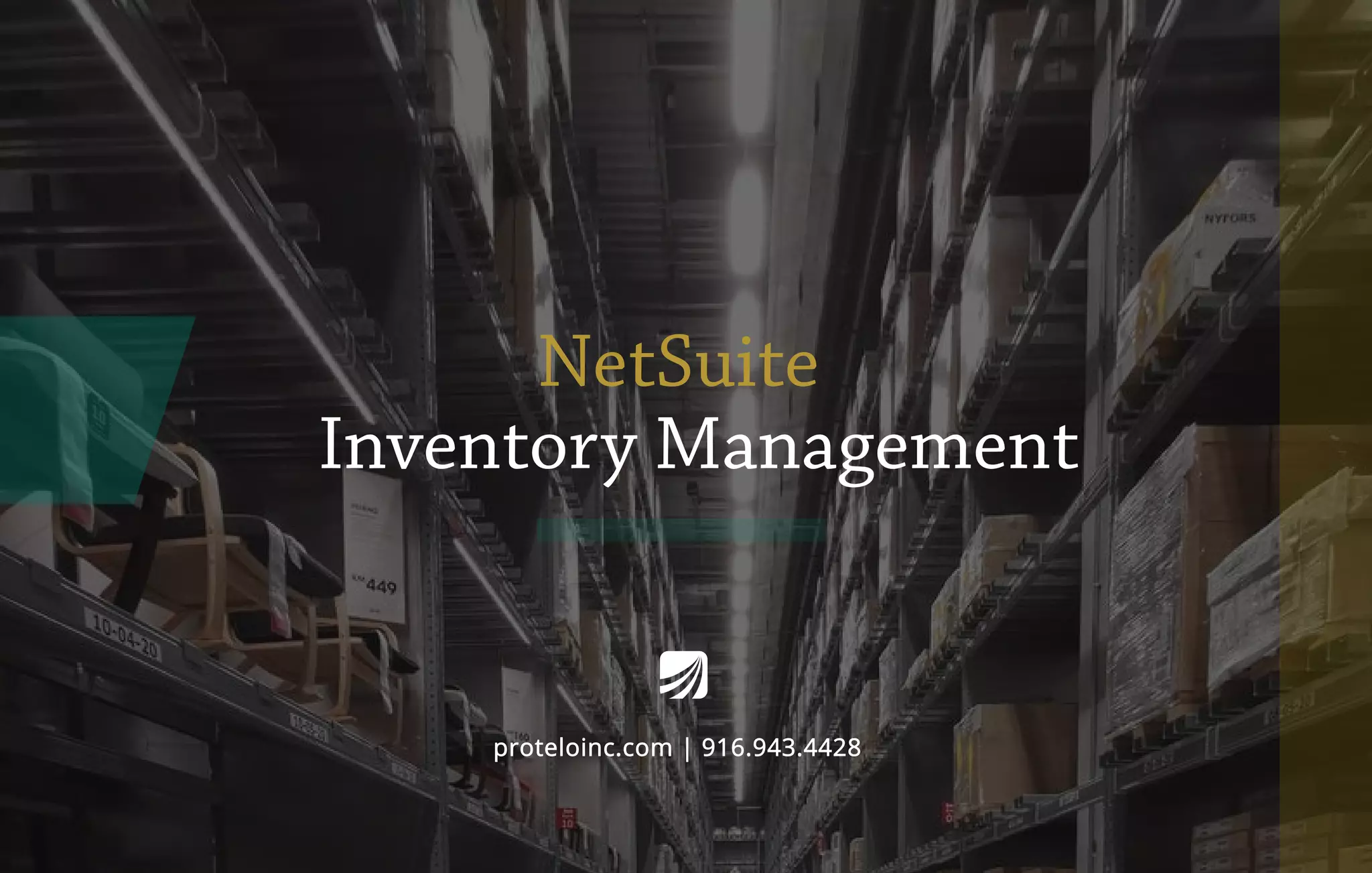 NetSuite Inventory Management Solution | PDF