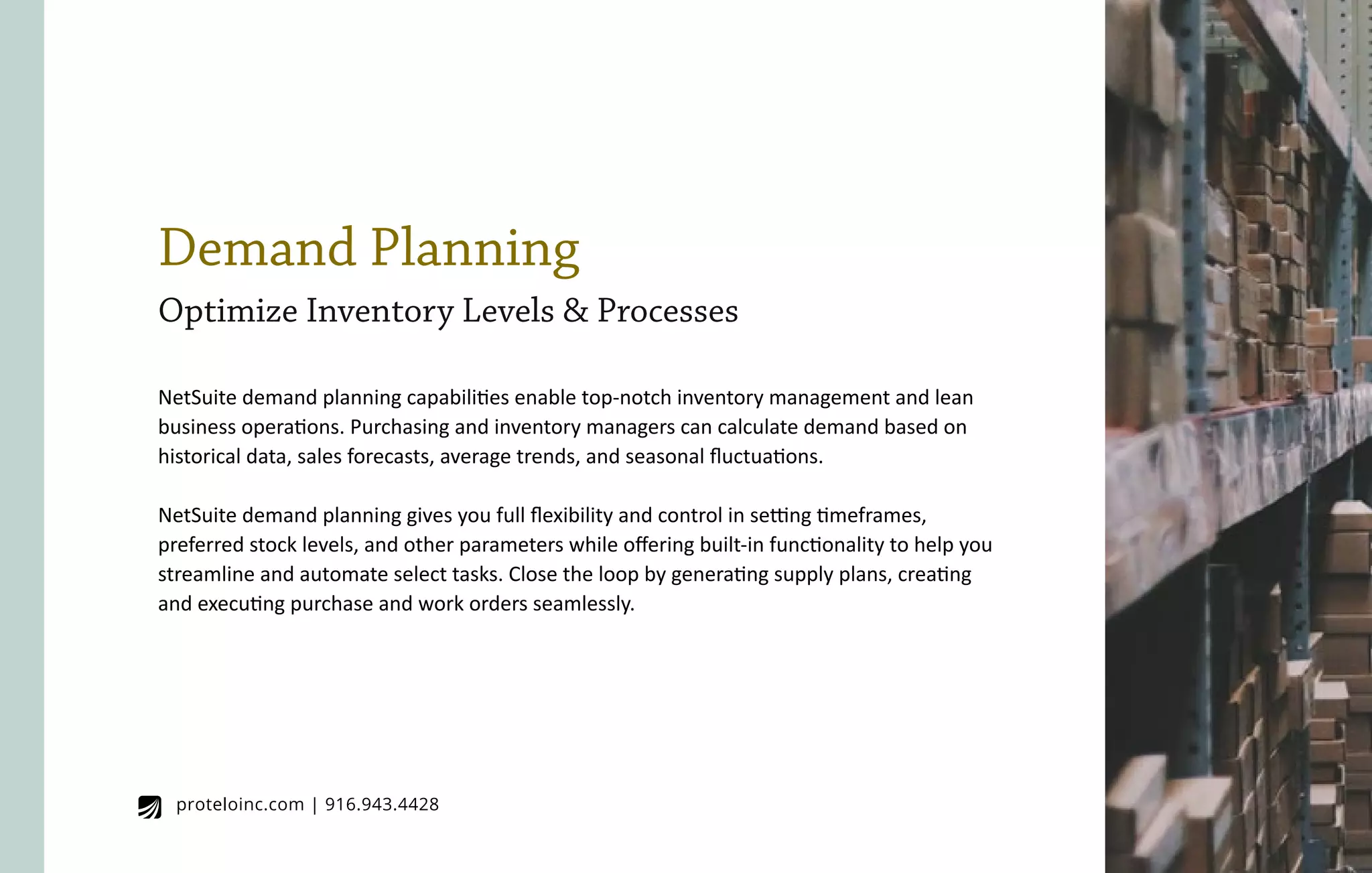 NetSuite Inventory Management Solution | PDF