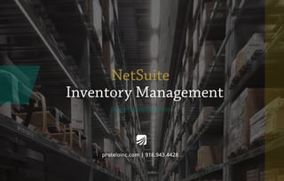 NetSuite Inventory Management Solution | PDF