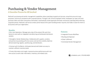 NetSuite Inventory Management Solution | PDF