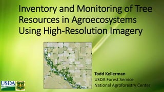 Inventory and monitoring of tree resources in agroecosystems | PPTX
