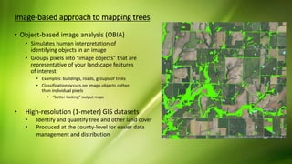 Inventory and monitoring of tree resources in agroecosystems | PPTX