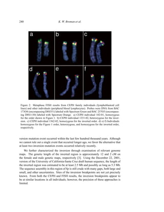 Inversion chromosome 8 ashadeep chandrareddy | PDF