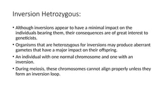 Inversion.pptx and its types and iysmain role in evolutionary studies | PPT