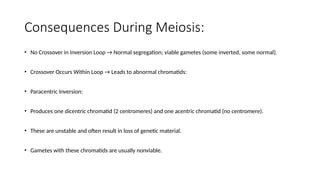 Inversion.pptx and its types and iysmain role in evolutionary studies | PPT
