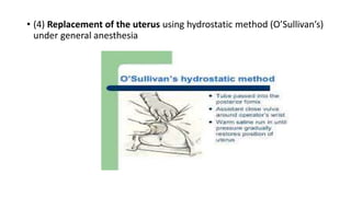inversion of the uterus.pptx