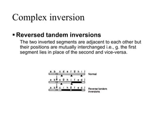 Inversions | PPTX