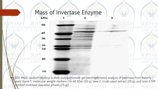 Invertase Substitute For