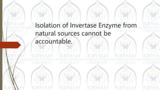 Invertase Substitute For