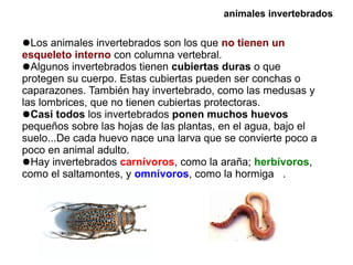 Invertebrados 091122132008-phpapp01 | ODP