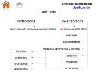 Invertebrados 091122132008-phpapp01 | ODP