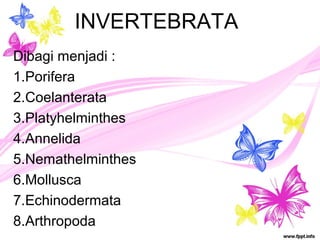 Invertebrata | PPT