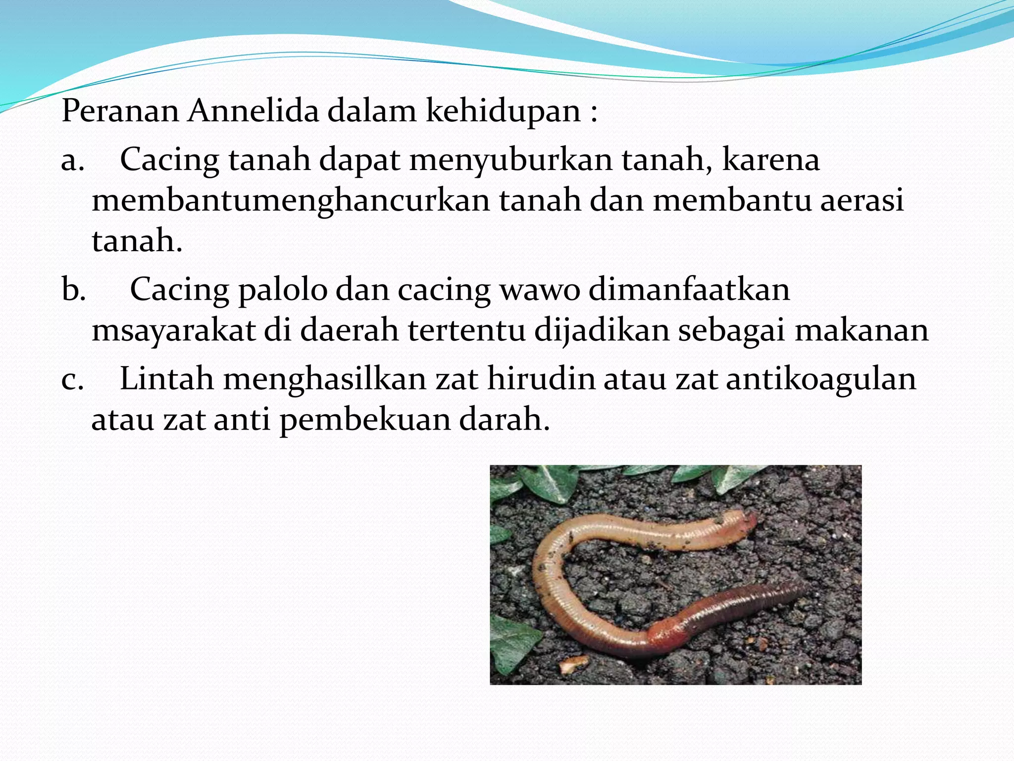 struktur tubuh invertebrata | PPTX