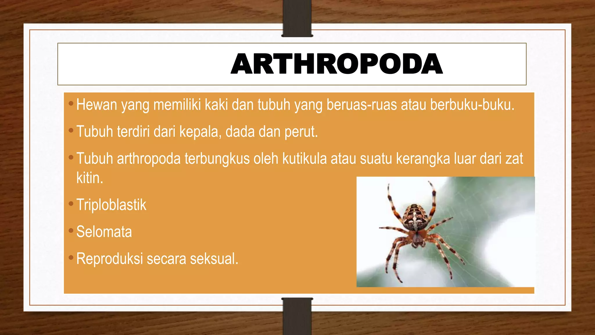 materi Invertebrata | PPTX