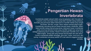 INVERTEBRATA.pptx