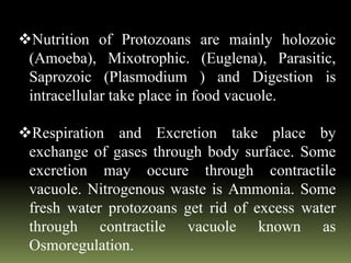 Invertebrata i ) | PPTX