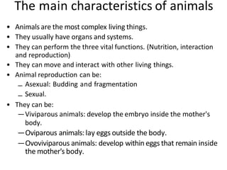 invertebrate-animals. And It's Classificationpptx | PPT