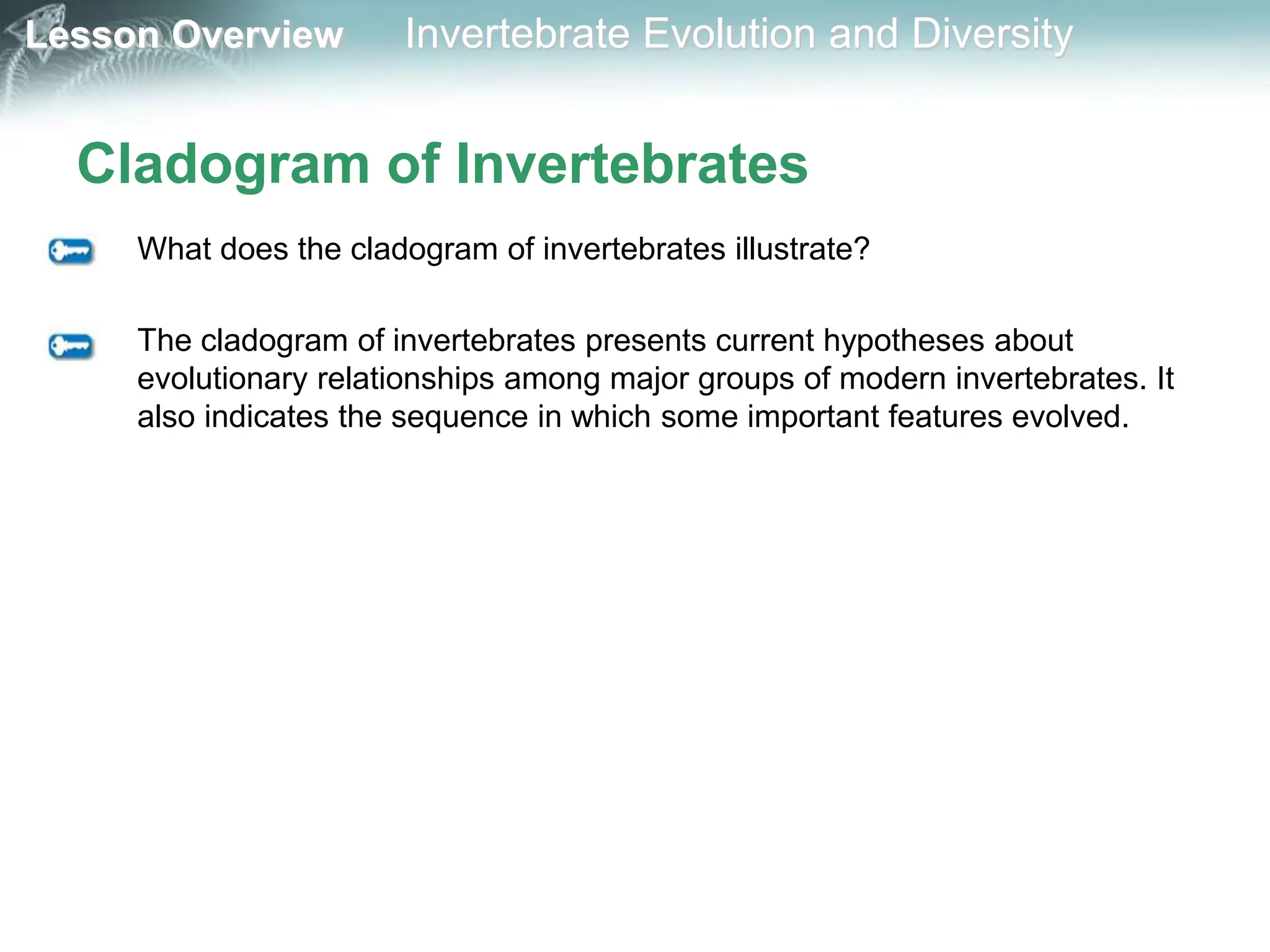 life history of invertebrate animals.ppt