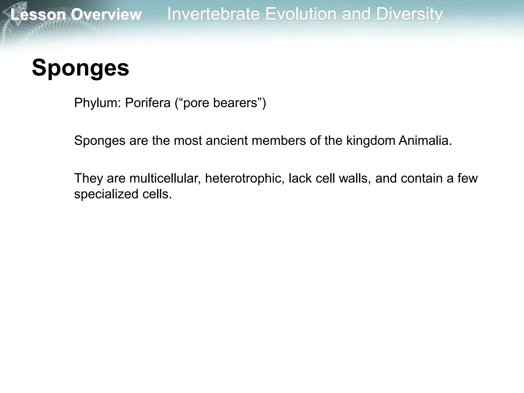 life history of invertebrate animals.ppt