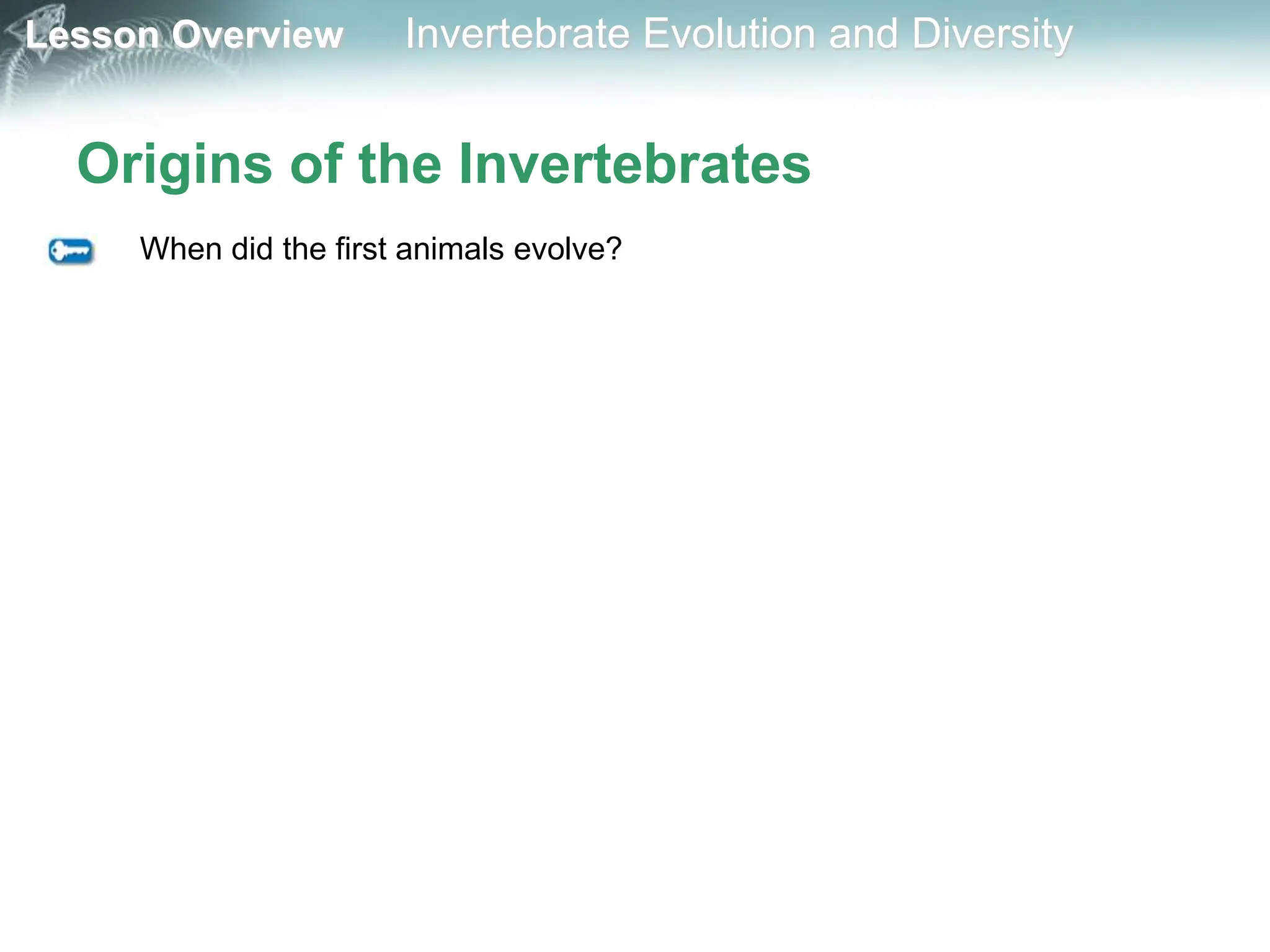 life history of invertebrate animals.ppt