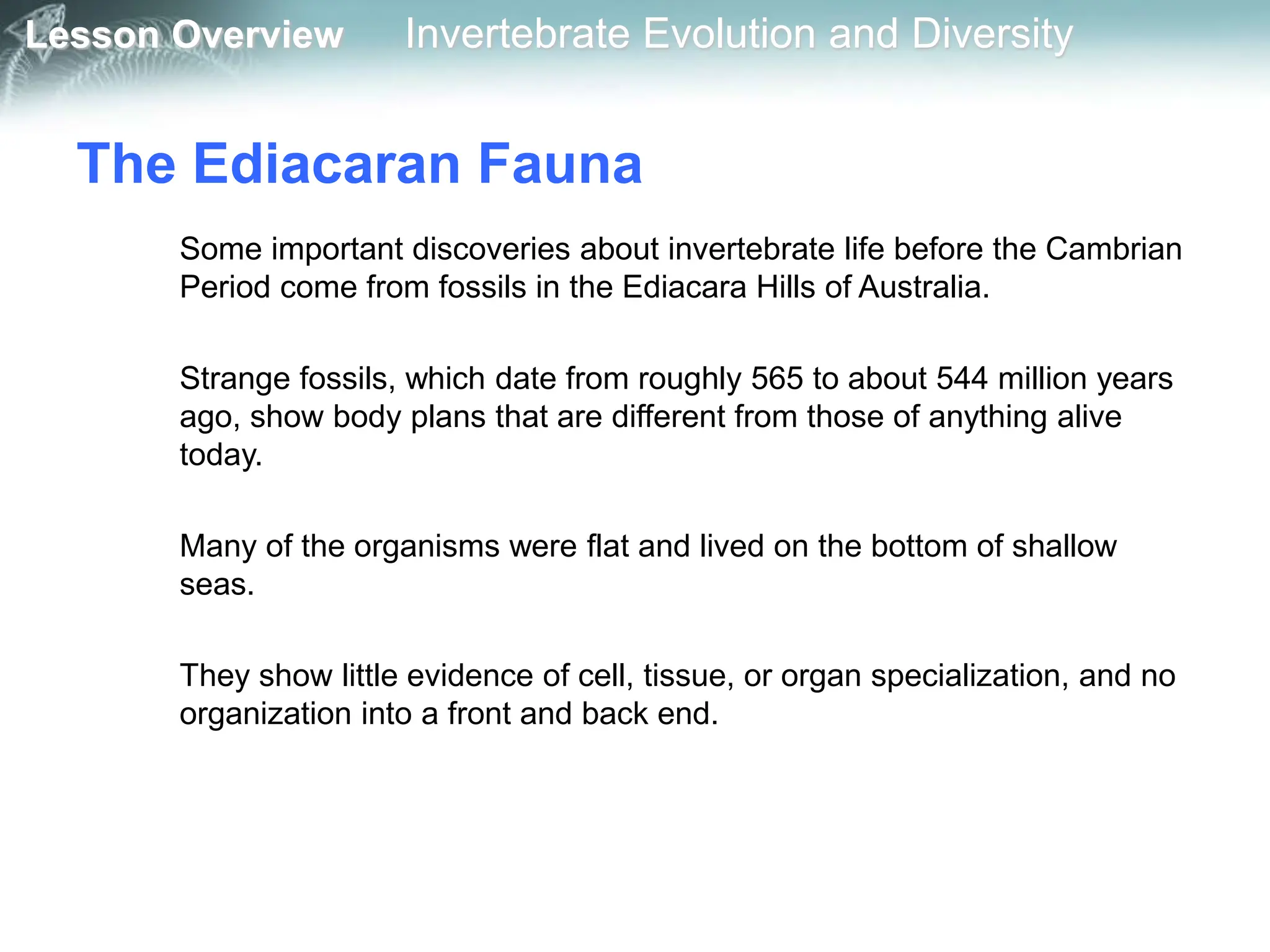 life history of invertebrate animals.ppt