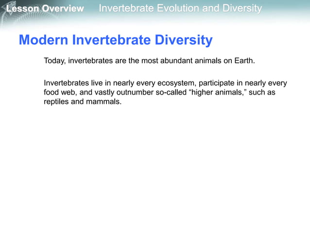 life history of invertebrate animals.ppt