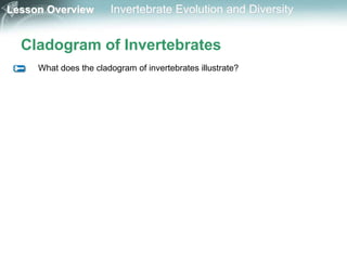 life history of invertebrate animals.ppt