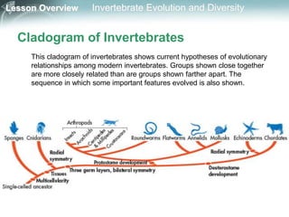 life history of invertebrate animals.ppt