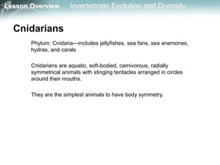 life history of invertebrate animals.ppt