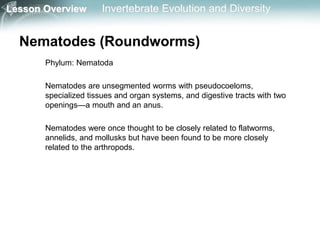 life history of invertebrate animals.ppt