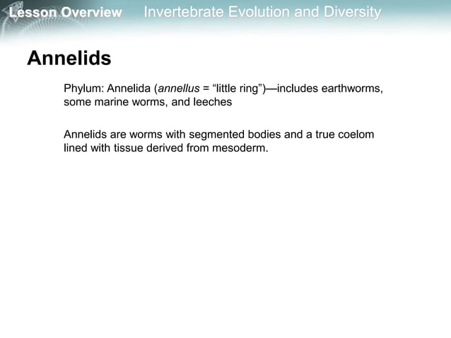 life history of invertebrate animals.ppt
