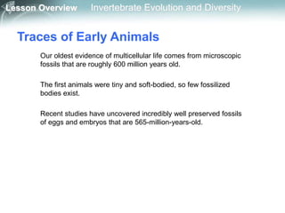 life history of invertebrate animals.ppt