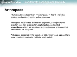 life history of invertebrate animals.ppt