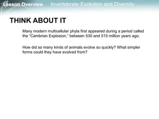 life history of invertebrate animals.ppt