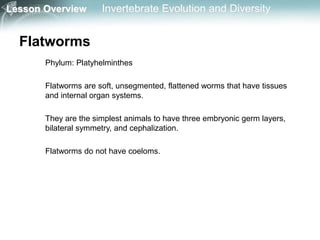 life history of invertebrate animals.ppt